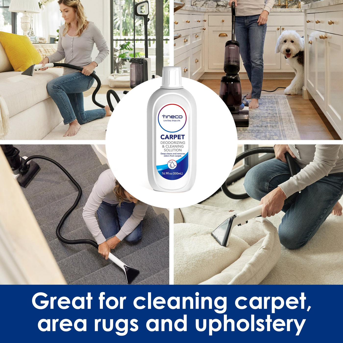 TINECO CARPET ONE SERIES DEODORIZING & CLEANING SOLUTION: 16.9 FL OZ ...